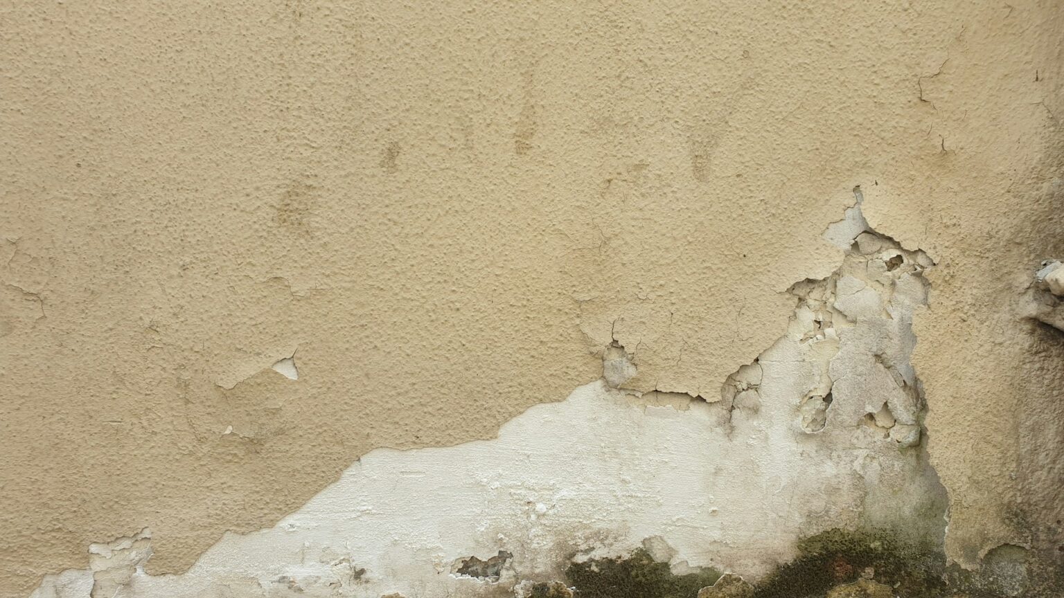 The Complete Guide to Types, Causes & Treatment of Damp | Survey Hut